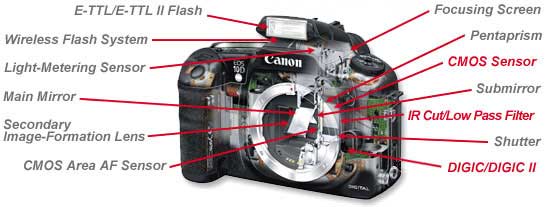 How a DSLR Camera Works